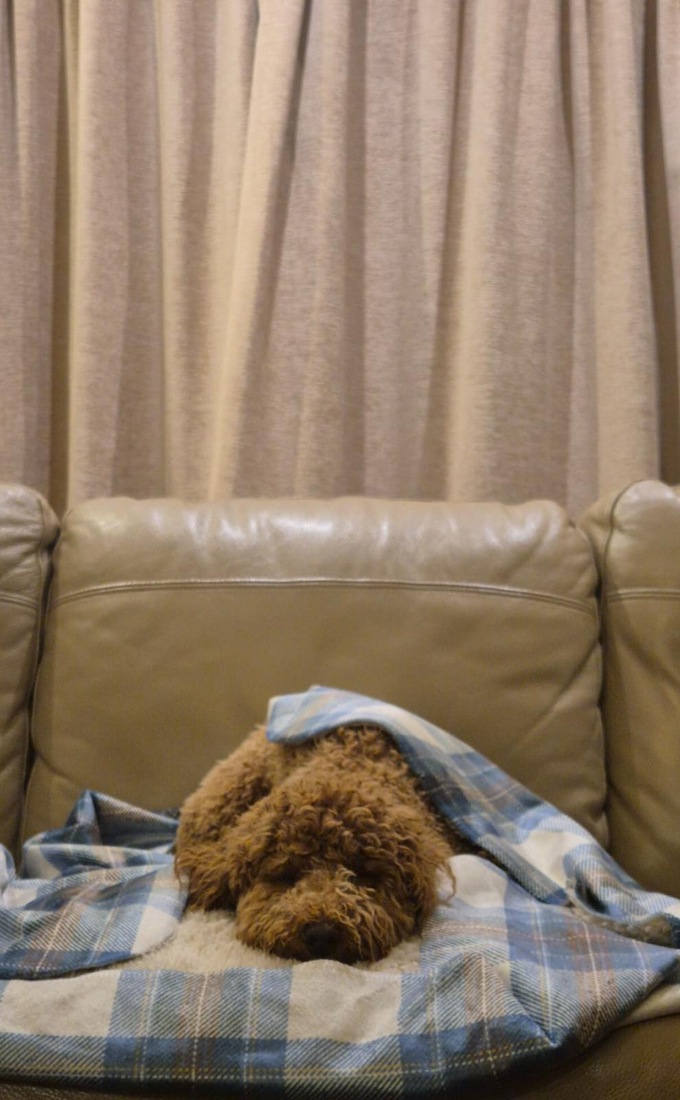 Tartan Sherpa Blanket | CLAN