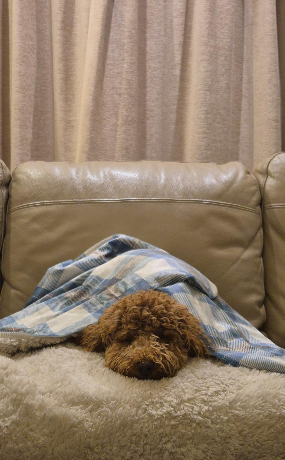 Tartan Sherpa Blanket | CLAN