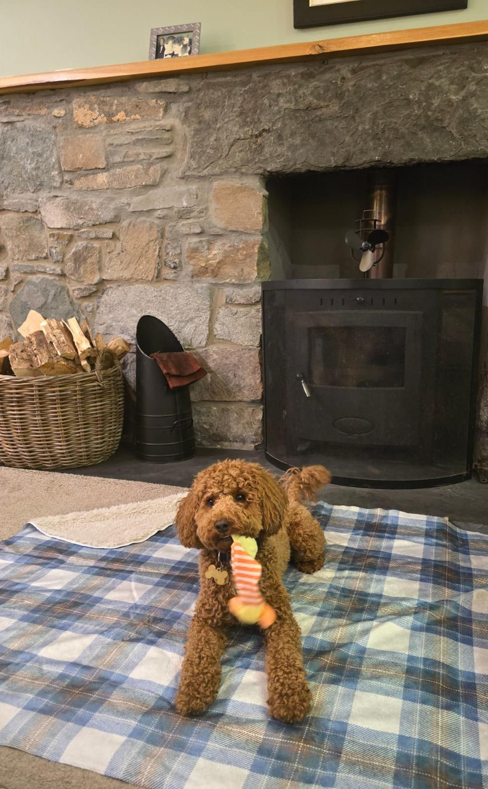 Tartan Sherpa Blanket | CLAN