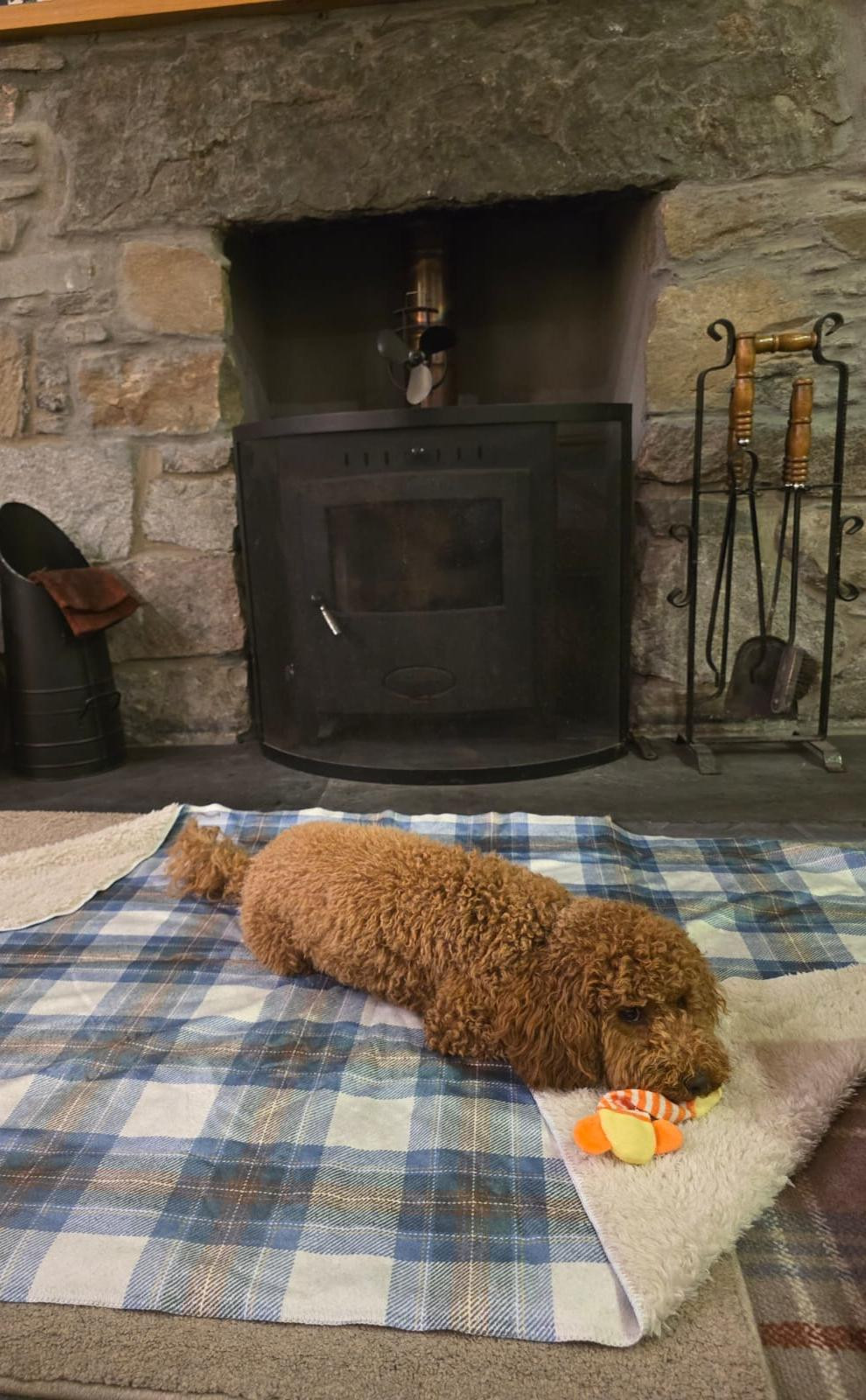 Tartan Sherpa Blanket | CLAN