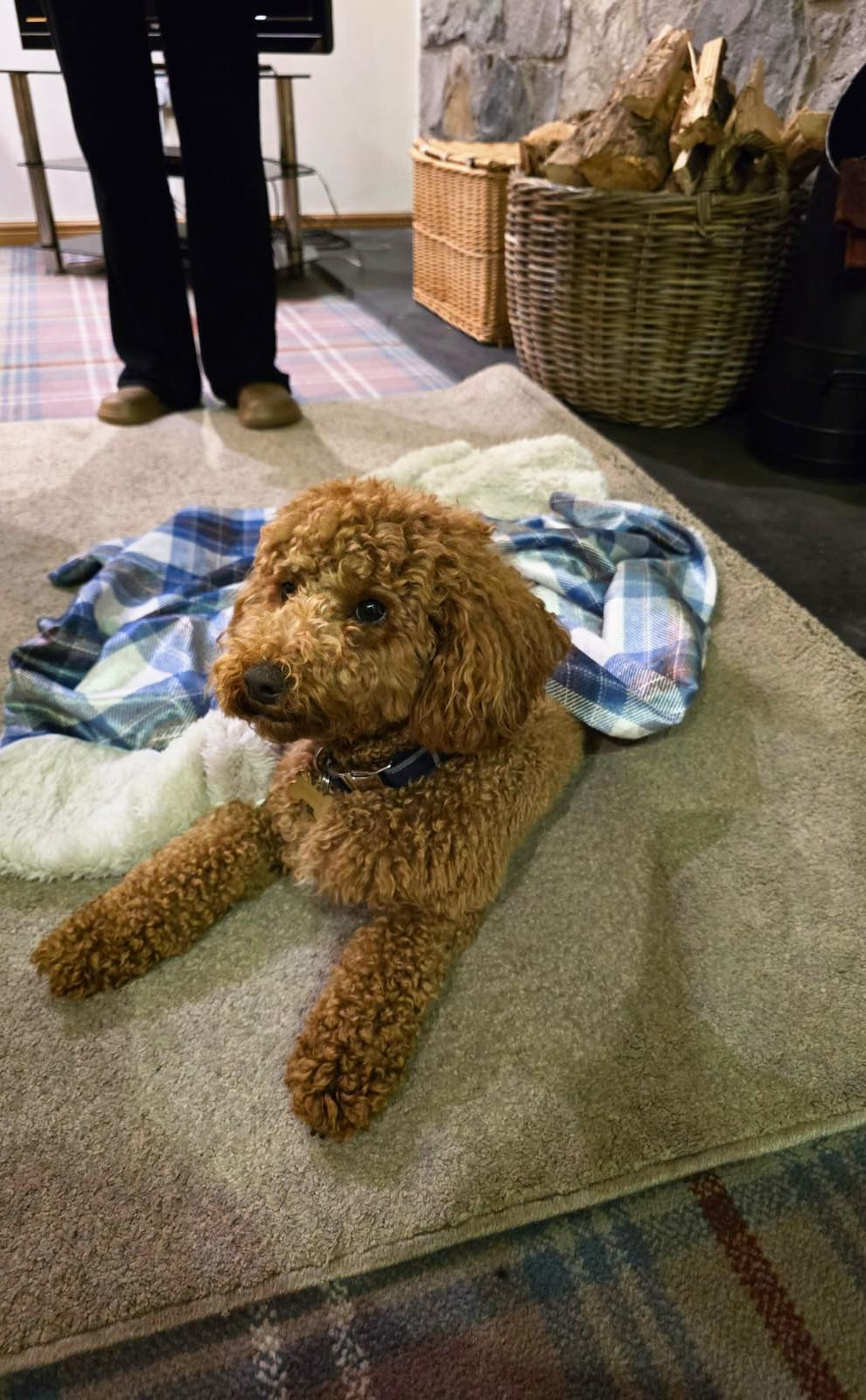 Tartan Sherpa Blanket | CLAN