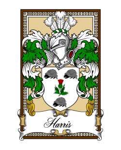 Harryson Family | 99 Tartan products: Kilts, Scarves, Fabrics & more | CLAN