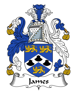 James Family | 303 Tartan products: Kilts, Scarves, Fabrics & more | CLAN