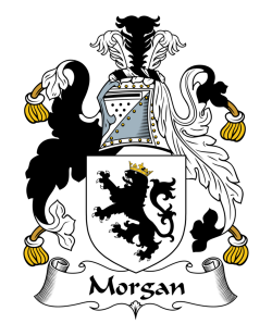 Morrgun Family | 186 Tartan products: Kilts, Scarves, Fabrics & more | CLAN