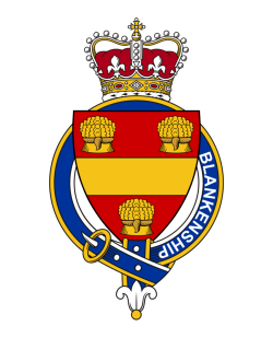 Blenkinsopp Family | 133 Tartan products: Kilts, Scarves, Fabrics ...