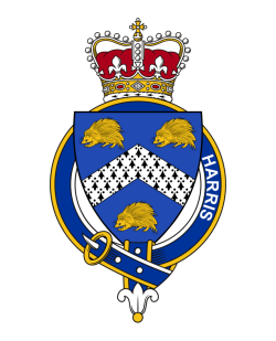 Harris Family | 303 Tartan products: Kilts, Scarves, Fabrics & more | CLAN