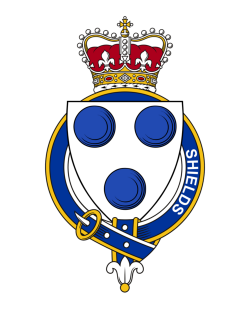Shields Family | Tartans, Gifts & History | CLAN