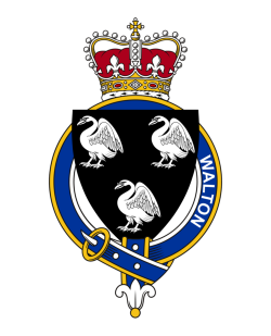 Walton Family | 166 Tartan products: Kilts, Scarves, Fabrics & more | CLAN