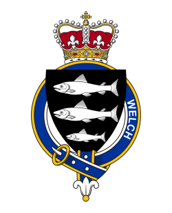 Clan Wallace | 436 Tartan products: Kilts, Scarves, Fabrics & more | CLAN