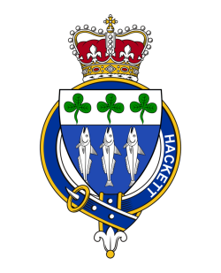 Hackett Family | 145 Tartan products: Kilts, Scarves, Fabrics & more | CLAN