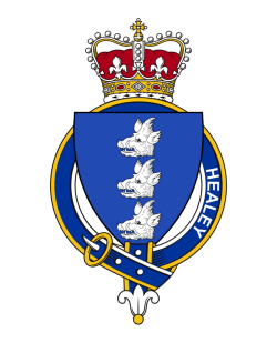 Healy Family | Tartans, Gifts & History | CLAN