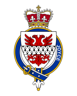 Joyes Family | 337 Tartan products: Kilts, Scarves, Fabrics & more | CLAN