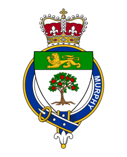 O'Murphy Family | 167 Tartan products: Kilts, Scarves, Fabrics & more ...