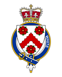 White Family | Tartans, Gifts & History | CLAN