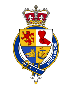 MacIntosh Family | 419 Tartan products: Kilts, Scarves, Fabrics & more ...