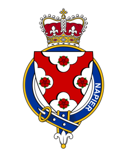 Clan Napier | 401 Tartan products: Kilts, Scarves, Fabrics & more | CLAN