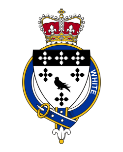 White Family | Tartans, Gifts & History | CLAN