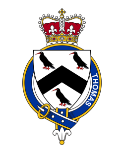 Clan Thomson | 368 Tartan products: Kilts, Scarves, Fabrics & more | CLAN