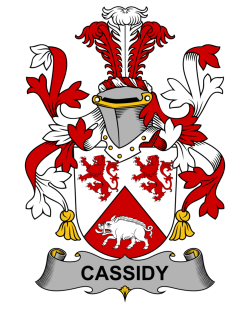 Cassidy Family | 335 Tartan products: Kilts, Scarves, Fabrics & more | CLAN