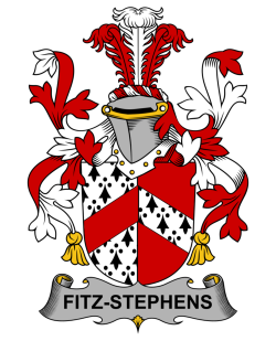 Fitz-Stephens Family | 335 Tartan products: Kilts, Scarves, Fabrics ...