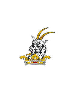 Bagot Family | 166 Tartan products: Kilts, Scarves, Fabrics & more | CLAN