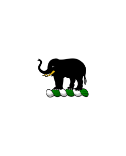 Concannon Family | 333 Tartan products: Kilts, Scarves, Fabrics & more ...