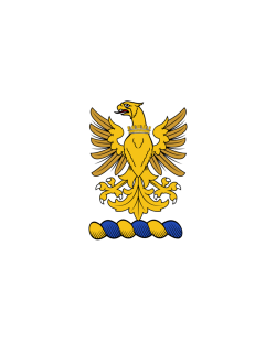 Harris Family | 303 Tartan products: Kilts, Scarves, Fabrics & more | CLAN