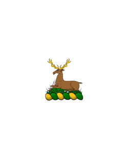 Rennels Family | Tartans, Gifts & History | CLAN
