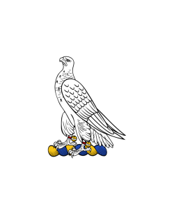 Maher Family | Tartans, Gifts & History | CLAN