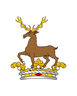 Robinson Family | Tartans, Gifts & History | CLAN