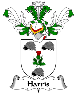 Harris Family | 303 Tartan products: Kilts, Scarves, Fabrics & more | CLAN