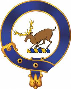 Dingvaille Family | 133 Tartan products: Kilts, Scarves, Fabrics & more ...