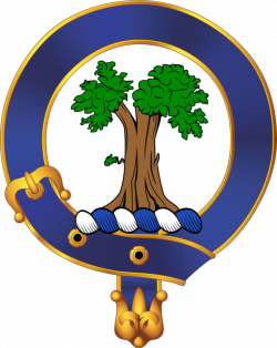 MacKeon Family | 417 Tartan products: Kilts, Scarves, Fabrics & more | CLAN