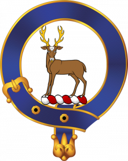 Raith Family | 196 Tartan products: Kilts, Scarves, Fabrics & more | CLAN