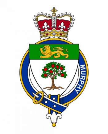 O'Murphy Family | 167 Tartan products: Kilts, Scarves, Fabrics & more ...