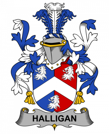 Halligan Family | 157 Tartan products: Kilts, Scarves, Fabrics & more ...