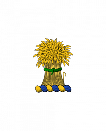 MacMaster Family | 371 Tartan products: Kilts, Scarves, Fabrics & more ...